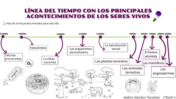 Principales cambios evolutivos de los seres vivos | Genially