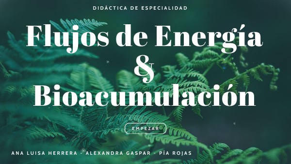 Microclase: flujos de energía y bioacumulación | Genially