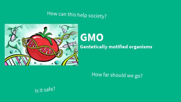 GMO