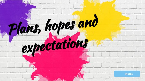 Plans, hopes and expectations