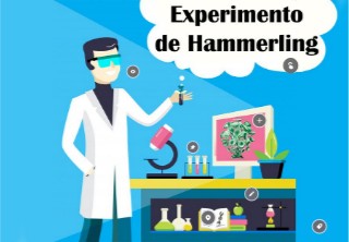 Experimento de Hammerling