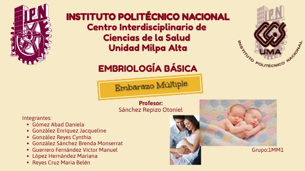 EMBARAZO MÚLTIPLE | Genially