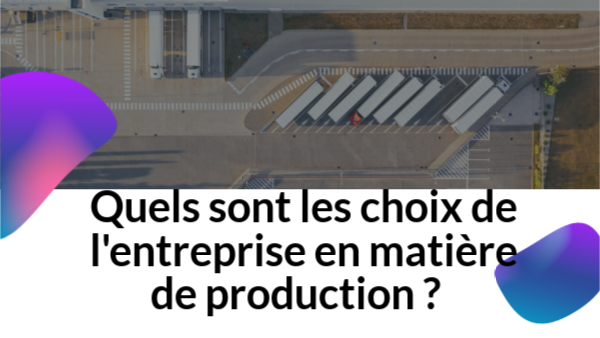 Quels sont les choix de l'entreprise en matière de production | Genially