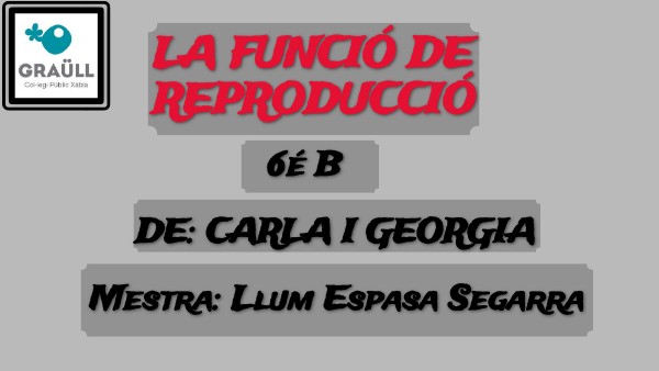 Les Funcions Vitals | Genially