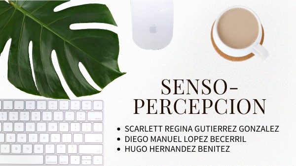 SENSO-PERCEPCION.