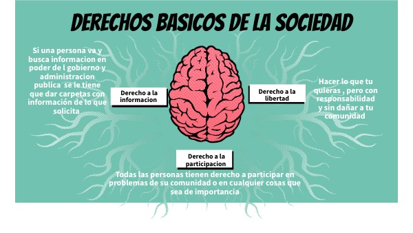 DERECHOS BASICOS PARA LA SOCIEDAD