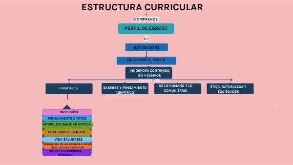 ESTRUCTURA CURRICULAR