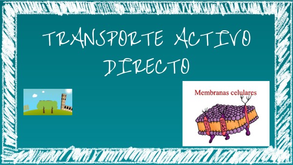 Transporte activo directo