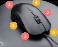 Imagen interactiva de la evolución del mouse