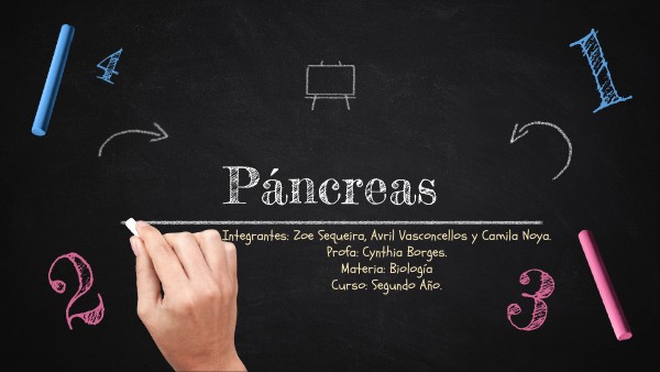 Biología- Páncreas: Zoe Sequeira, Camila Noya y Avril Vasconcellos | Genially
