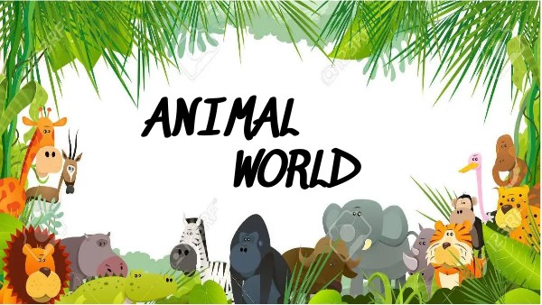 ANIMAL WORLD