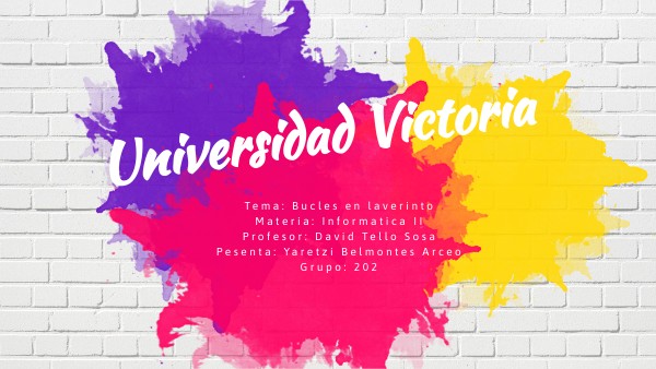 Yaretzi Belmontes Arceo