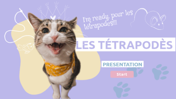 Tétrapodes | Genially