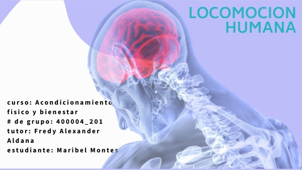 locomocion humana - tarea 2