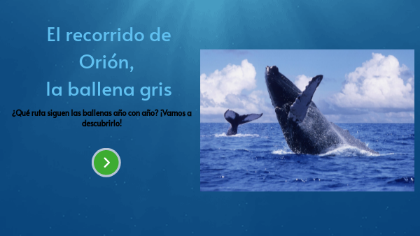 recorrido de la ballena gris | Genially