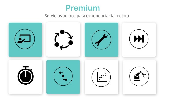 Servicios VIP web