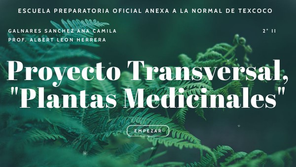 Proyecto Transversal Matemáticas | Genially