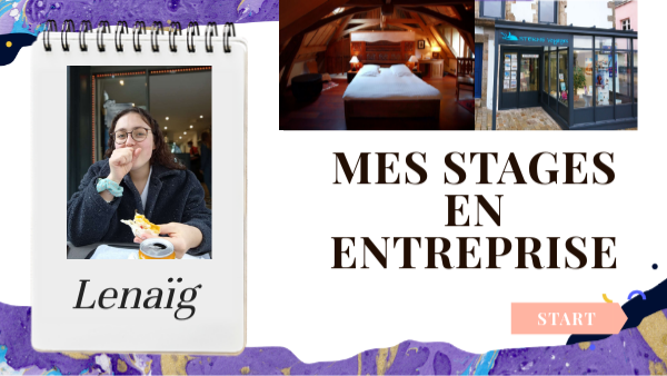 Mes stages en entreprise (lenaïg le coq)