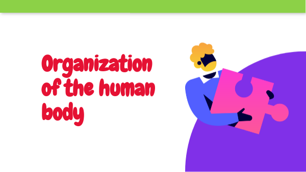 M2T1 - Organization of the body