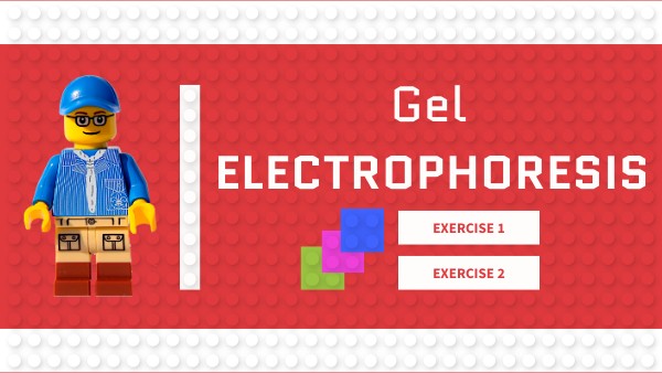 Gel electrophoresis | Genially