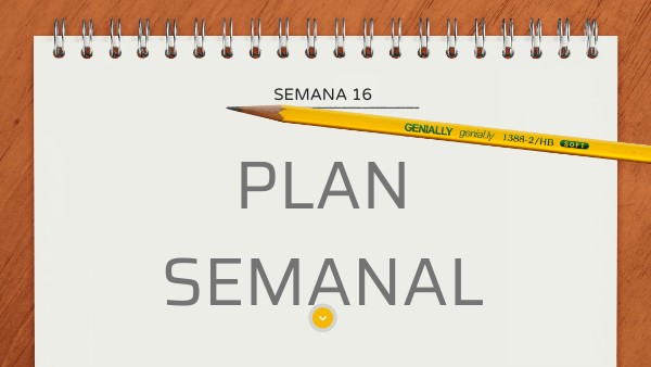 PLAN 6 al 10 DE DIC.