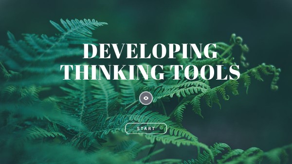 DEVELOPING THINKING TOOLS
