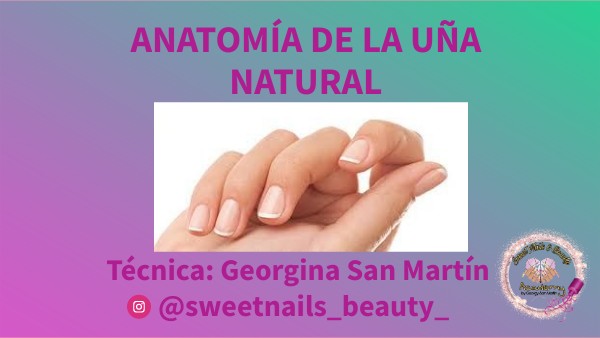 ANATOMIA DE LA UÑA