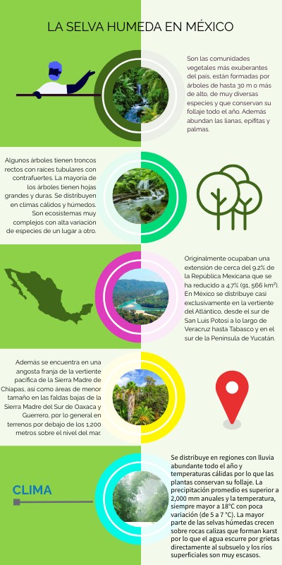 Selva Humeda en México 1 | Genially