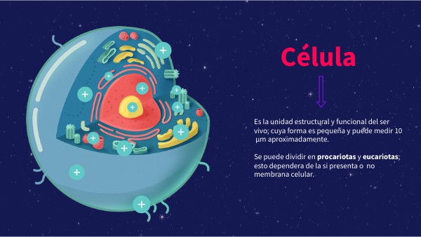 CÉLULA EUCARIOTA | Genially