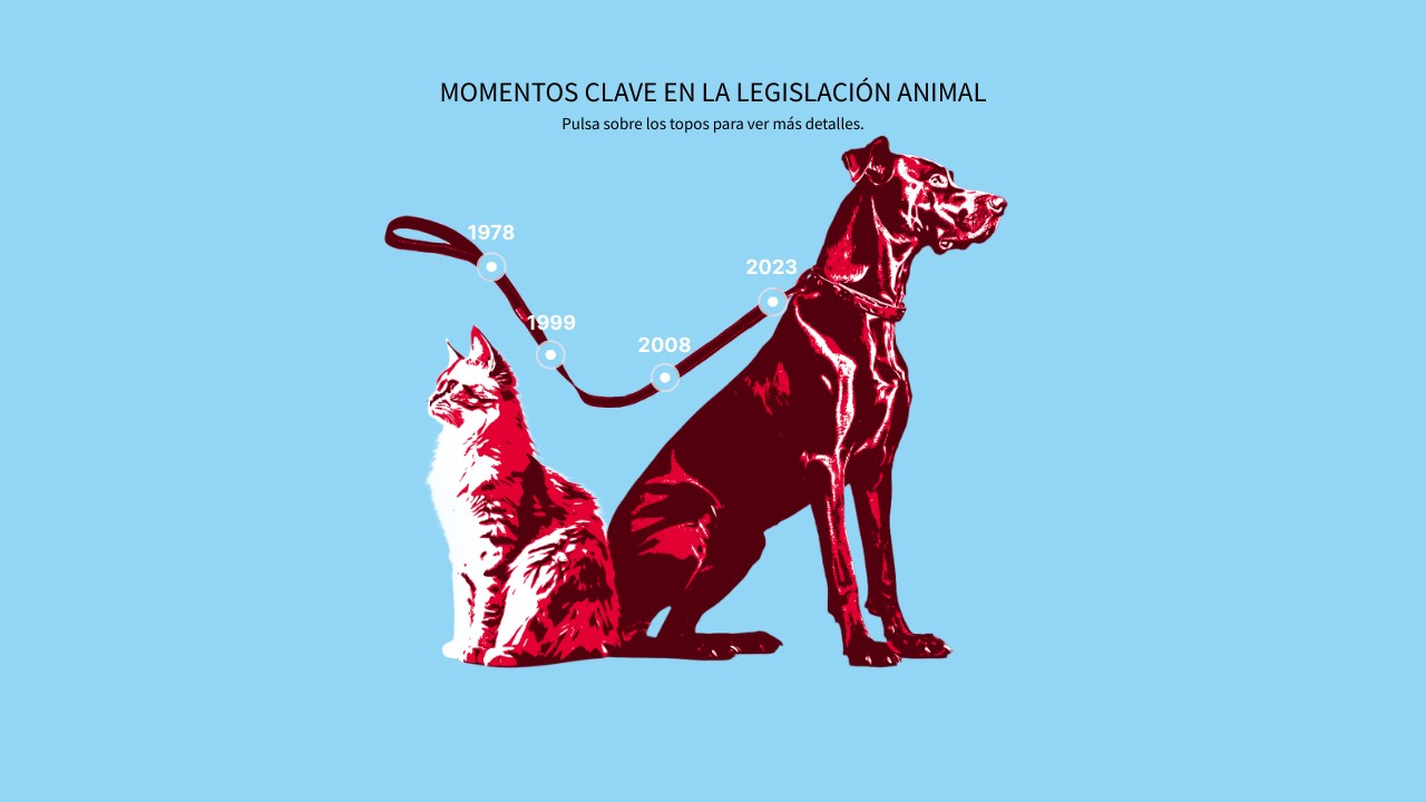 Copia - Copy - BASIC MAP