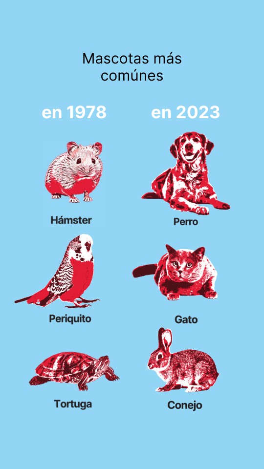 BASIC MAP | Genially