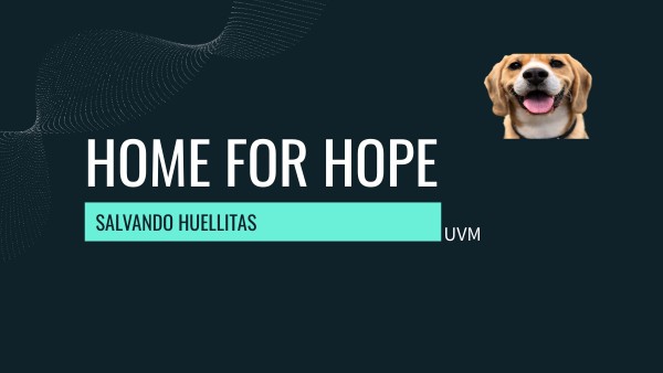 PRESENTACIÓN HOME FOR HOPE | Genially