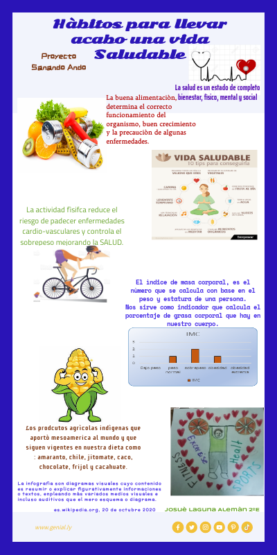 INFOGRAFIA VIDA SALUDABLE | Genially