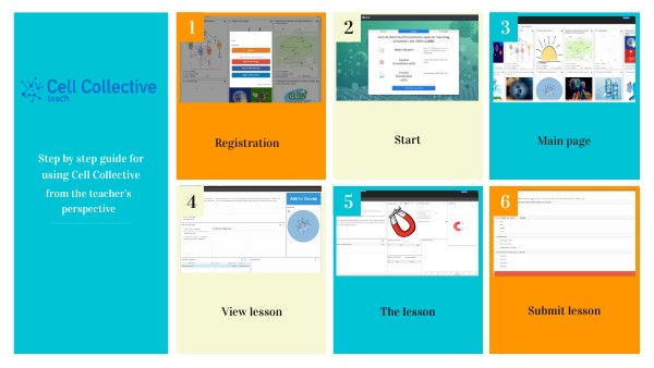 Step by step Cell Collective | Genially