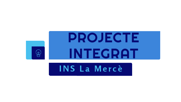 Projecte Integrat Profes