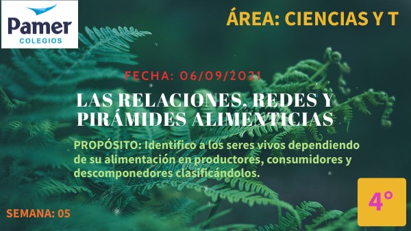 LAS RELACIONES, REDES Y PIRÁMIDES ALIMENTICIAS | Genially