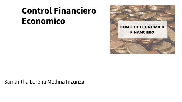 CONTROL ECONOMICO FINANCIERO | Genially