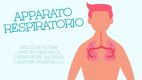 APPARATO RESPIRATORIO | Genially