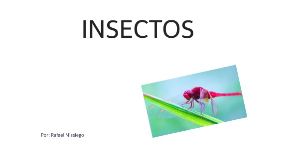 Insectos | Genially