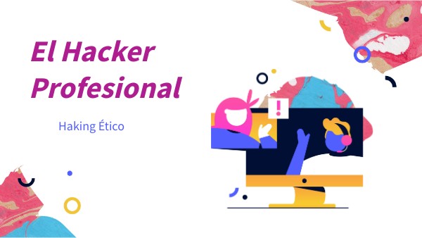 El hacker profesional