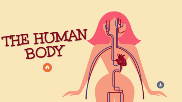 BODY PARTS/FLASHCARDS - ANNEX 18 | Genially