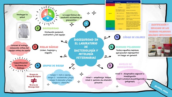 MAPA CONCEPTUAL ILUSTRADO | Genially