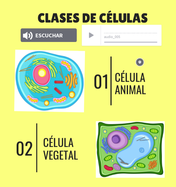 Clases de células