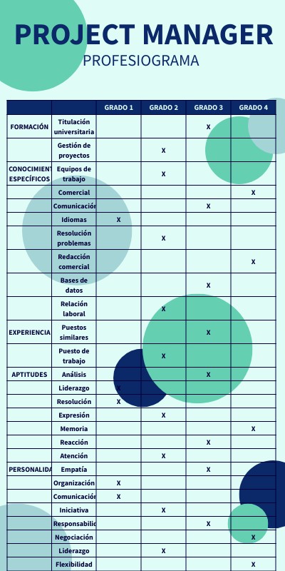 PROFESIOGRAMA PROJECT MANAGER