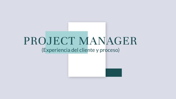 PROJECT MANAGER