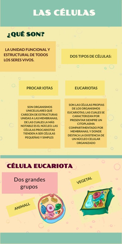 INFO VERTICAL CÉLULAS | Genially