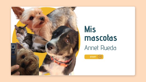 MASCOTAS