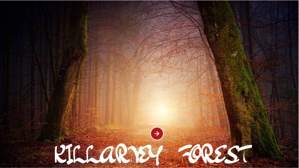 BREAKOUT: ENCHANTED FOREST