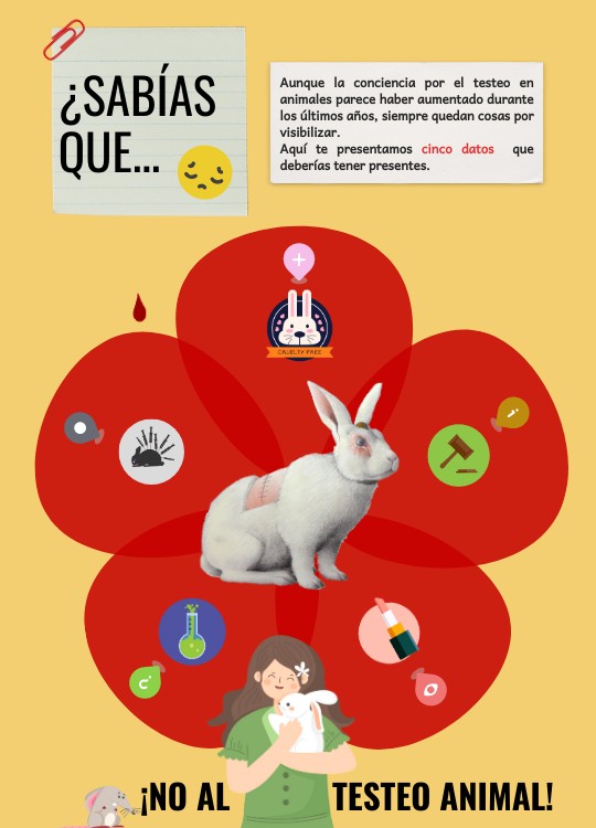 Datos del testeo animal | Genially