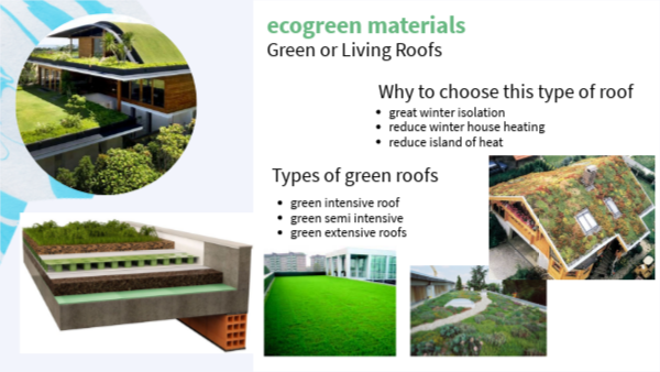 Intensive Green Roof Details